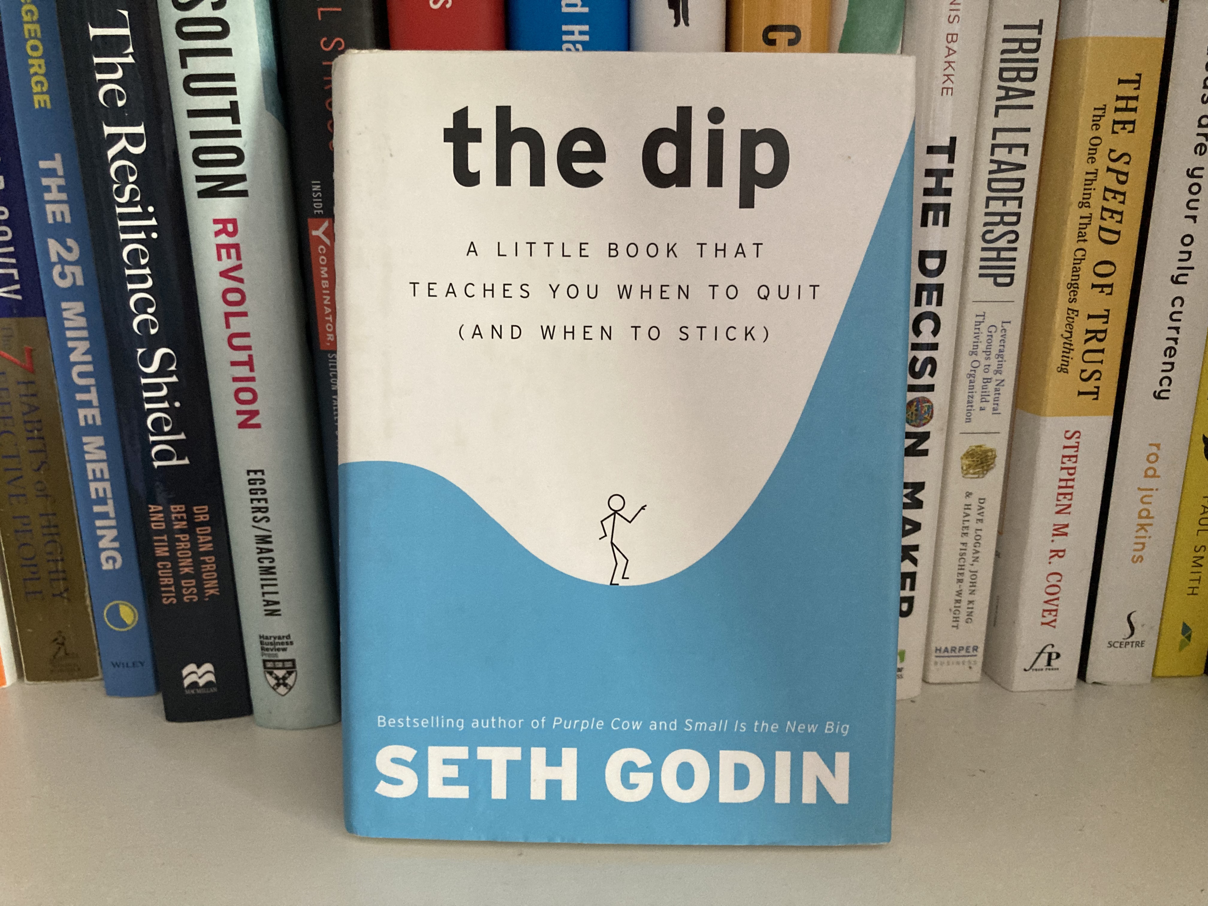 Book Summary: The Dip – The Blog of Ryan Wiggins